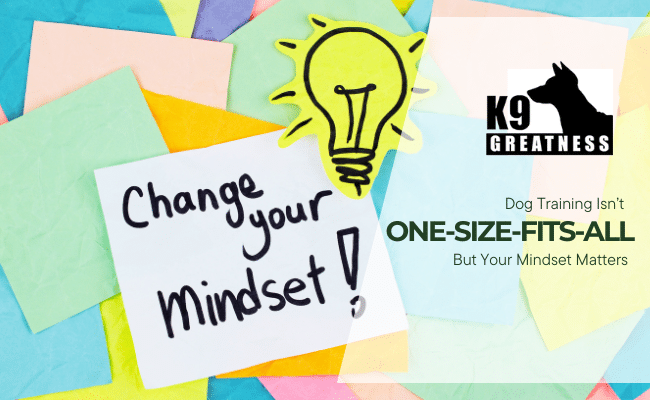 Dog Training Isn’t One-Size-Fits-All – But Your Mindset Matters - K9 ...